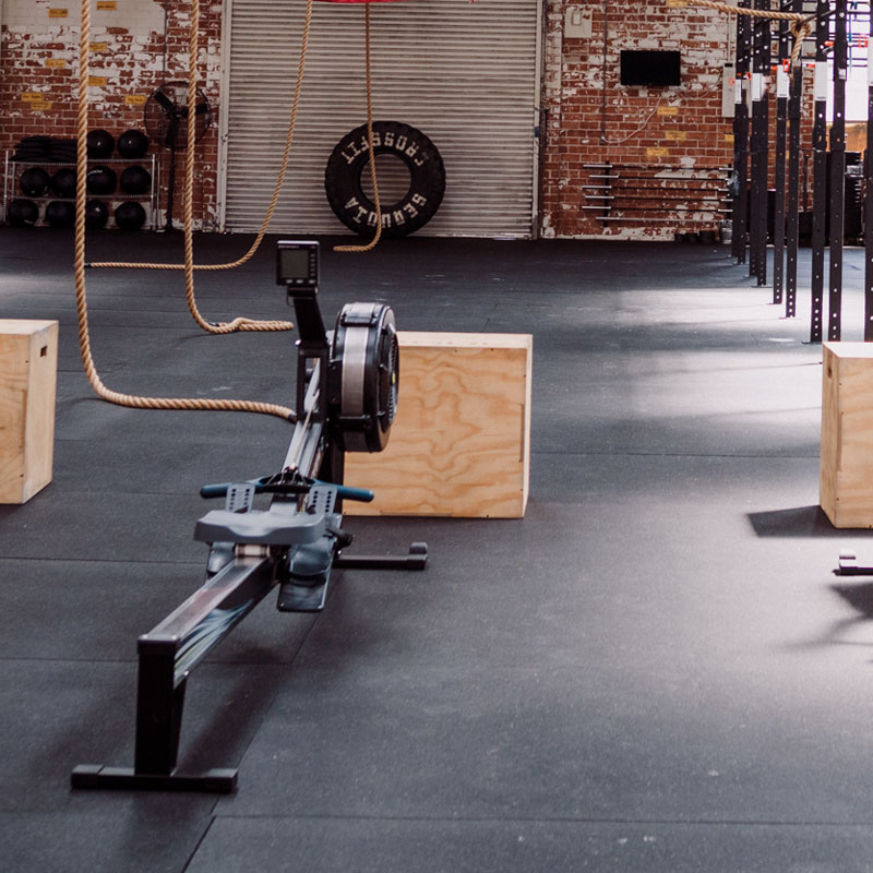 Corsi e attività | Palestra Fanum Viterbo